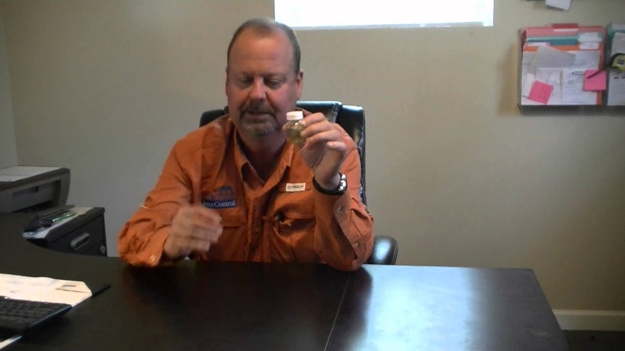 Rat Sorb Odor Eliminator ePestSolutions - YouTube