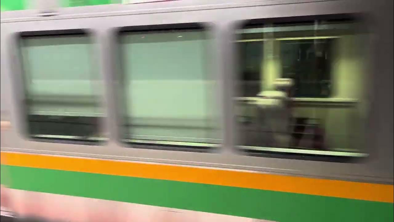 E233系3000番台東京始発普通沼津行き(ラブライブサンシャインの聖地へ)川崎駅発車 - YouTube