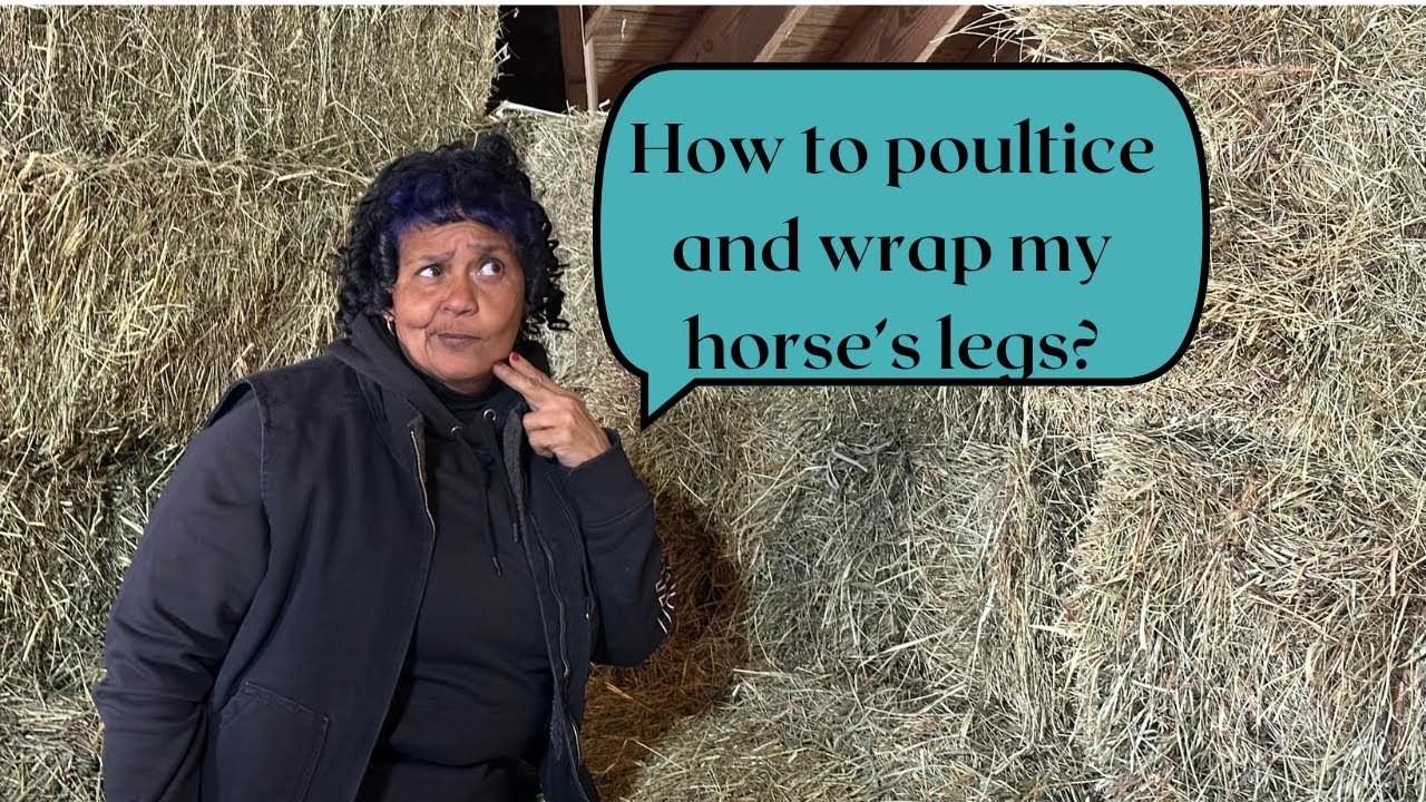 How to poultice and wrap your horse's leg - YouTube