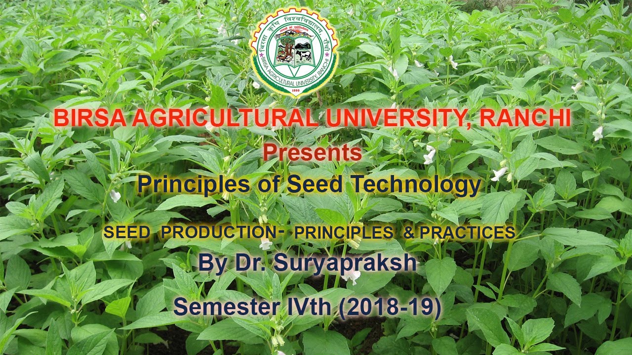 Principles of Seed Technology Lecture 2 - YouTube