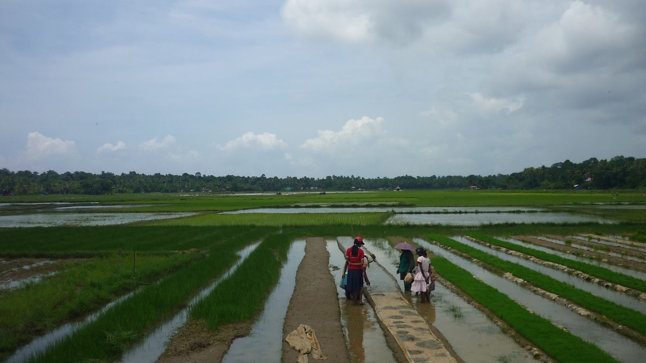 Mayyanad United Live Stream - YouTube