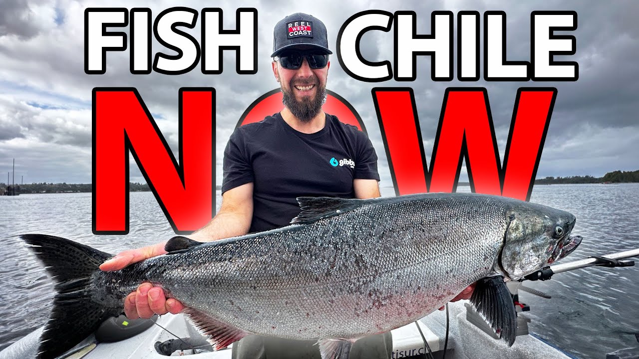 Why You Should Go Fishing In Chile - YouTube