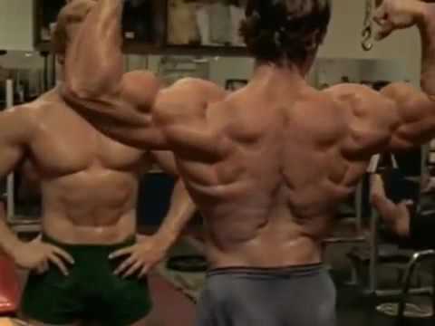 Hungria   Um ciclo foda Arnold   YouTube1