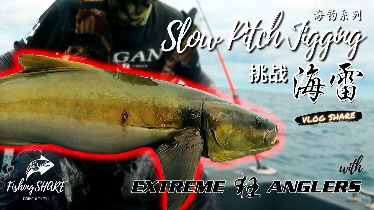 【FishingShare】SLOW PITCH JIGGING挑战海雷！ft. EXTREME ANGLERS|海钓系列|COBIA ...
