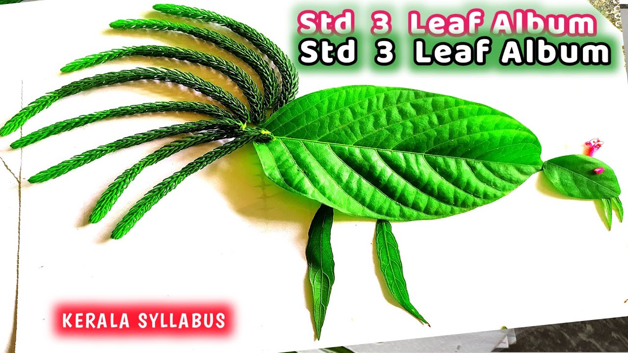 Std 3 Leaf Album,EVS Leaf Album,Class 3 parisarapadanam Leaf Album,How ...