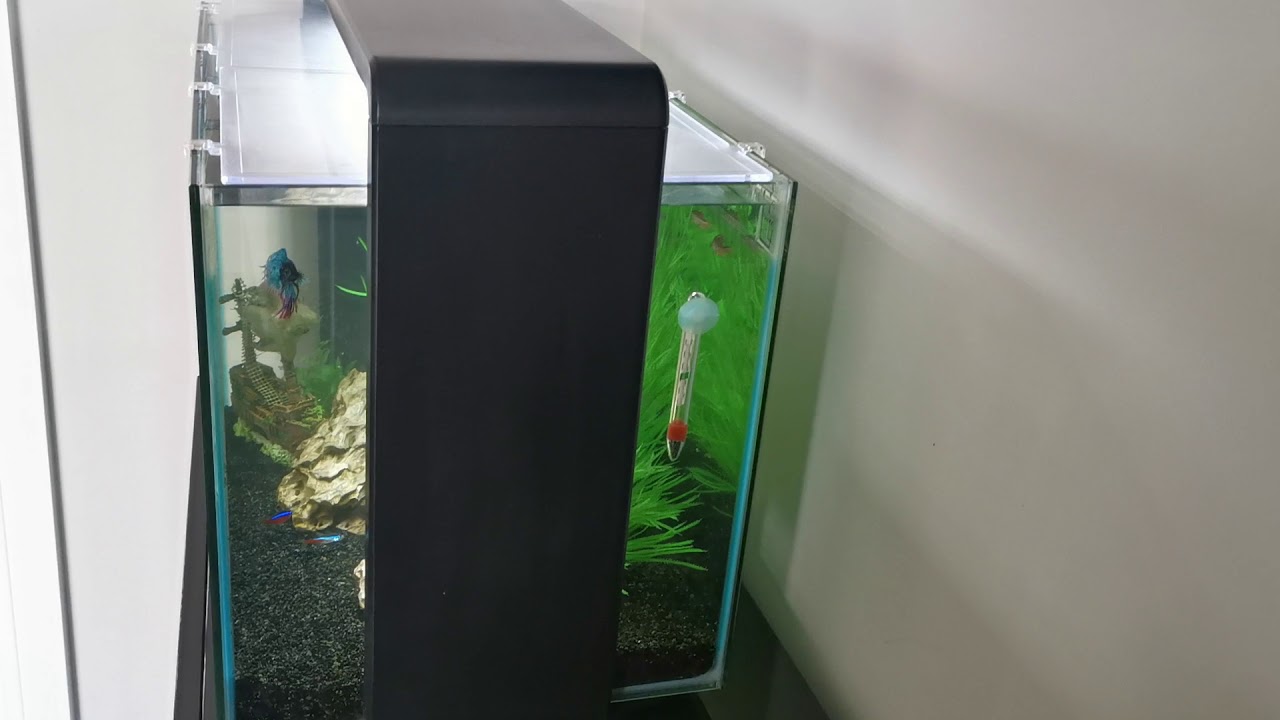 Superfish Home 60 aquarium - YouTube