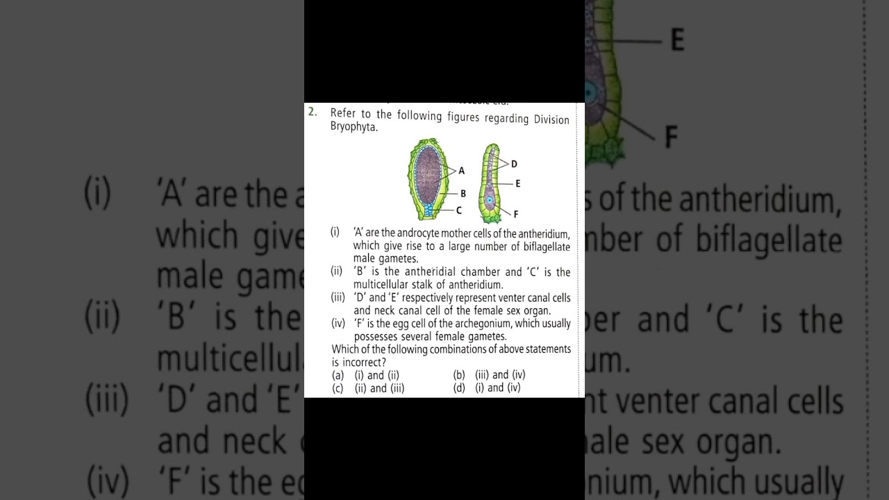 Plant Kingdom NEET Questions Comment ubscribe YouTube plant-kingdom-neet-questions-comment-ubscribe-youtube