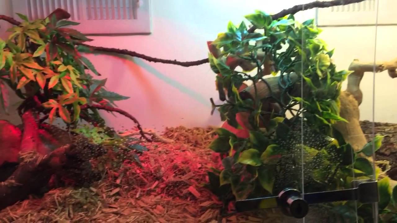 Lincoln's Timor Monitor - YouTube