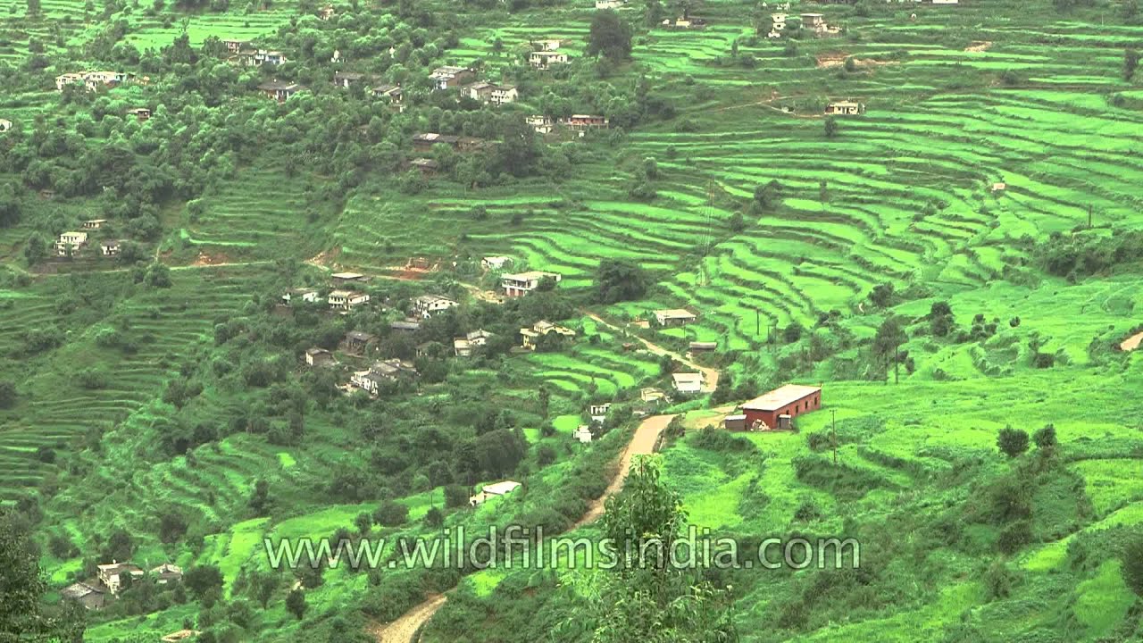 Aerial view of lush green mountains of Champawat - YouTube