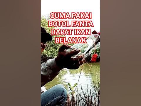 MANCING IKAN BELANAK HANYA PAKAI BOTOL FANTA - YouTube