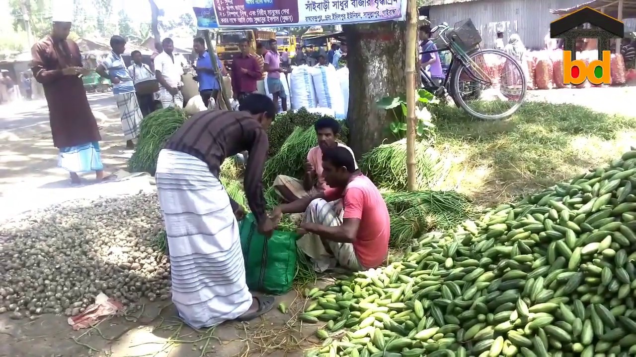 How To Process and Package Fresh VEGES for Export II Wholesale ...