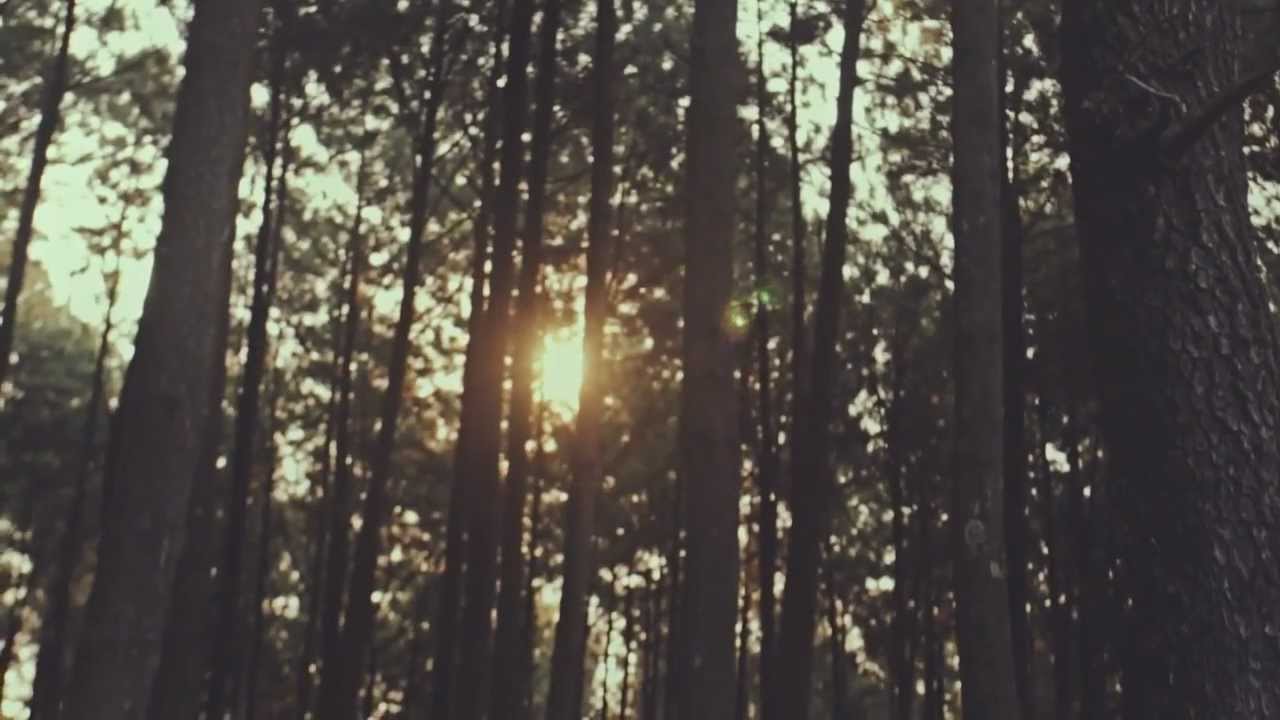 Darryl Wezy - Maze of Fears Album Teaser - YouTube