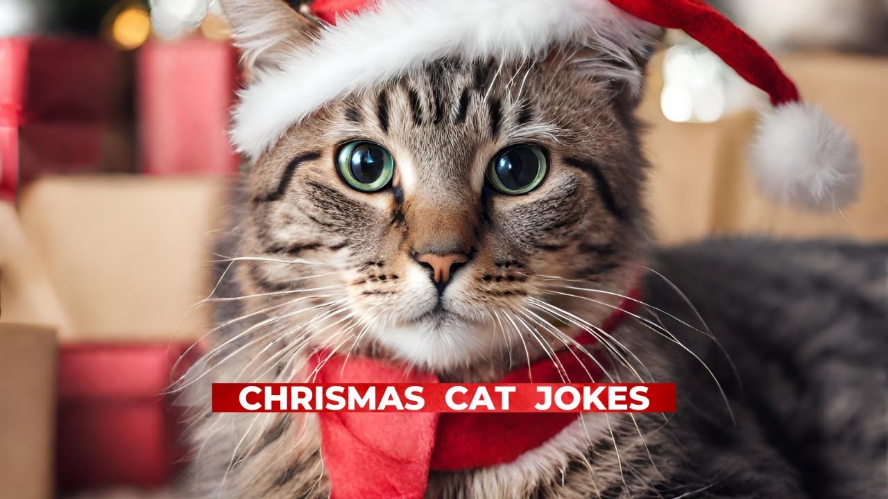Christmas Cat Jokes - YouTube
