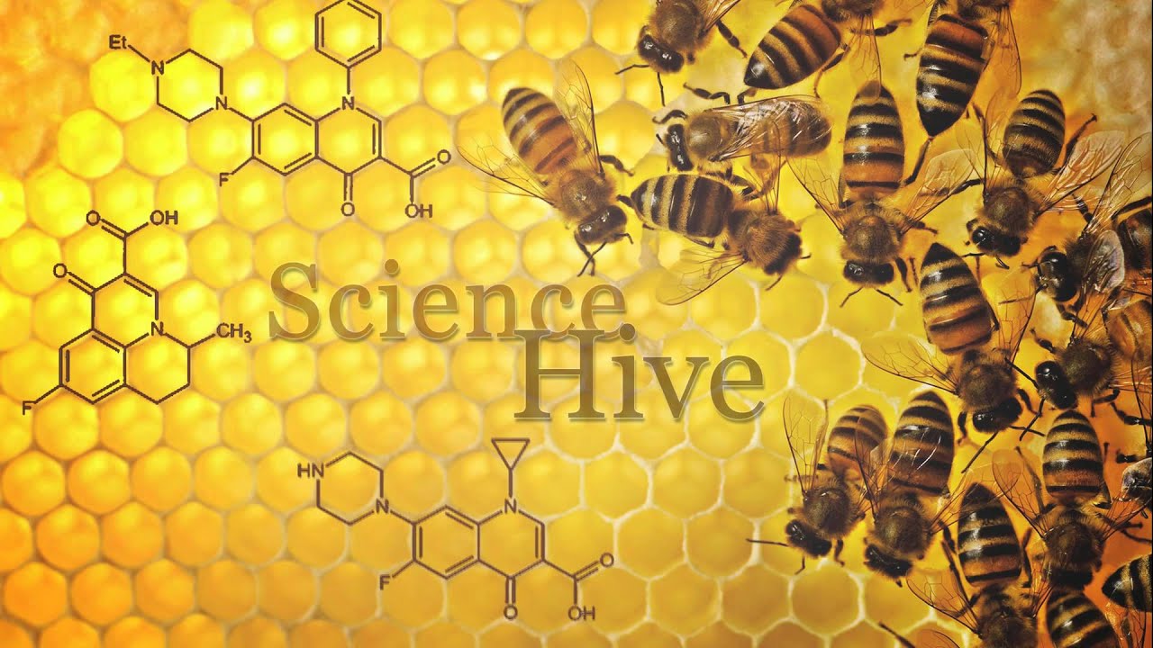 Science Hive Teaser - YouTube