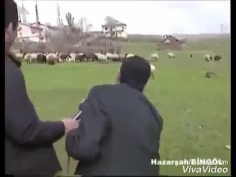 Çılgın çoban 😄