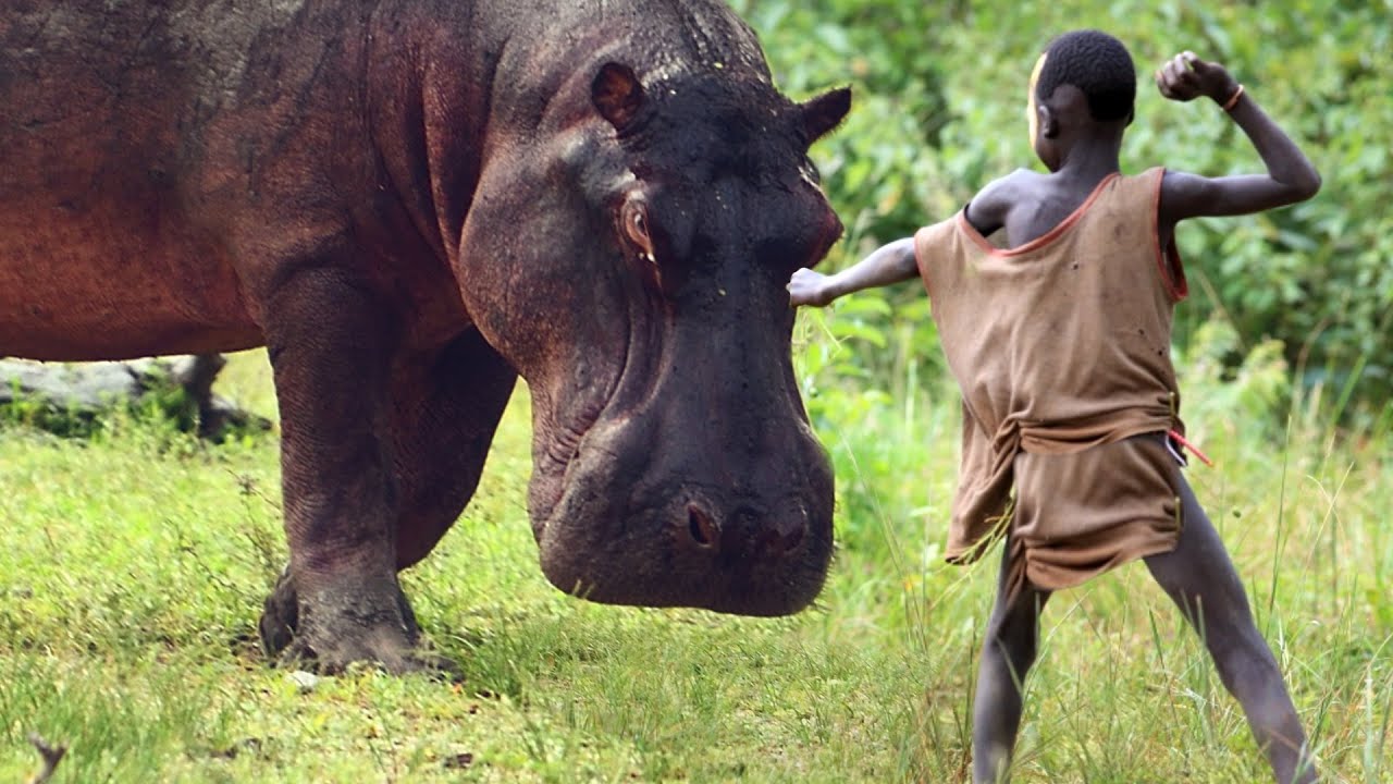 Animals Running Away From Humans