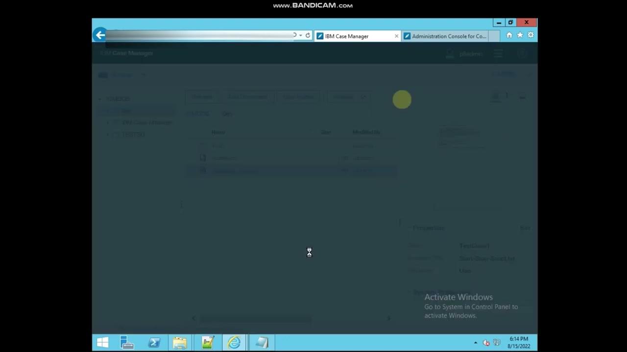 How to change the security of Document in IBM FileNet Case Manager ...
