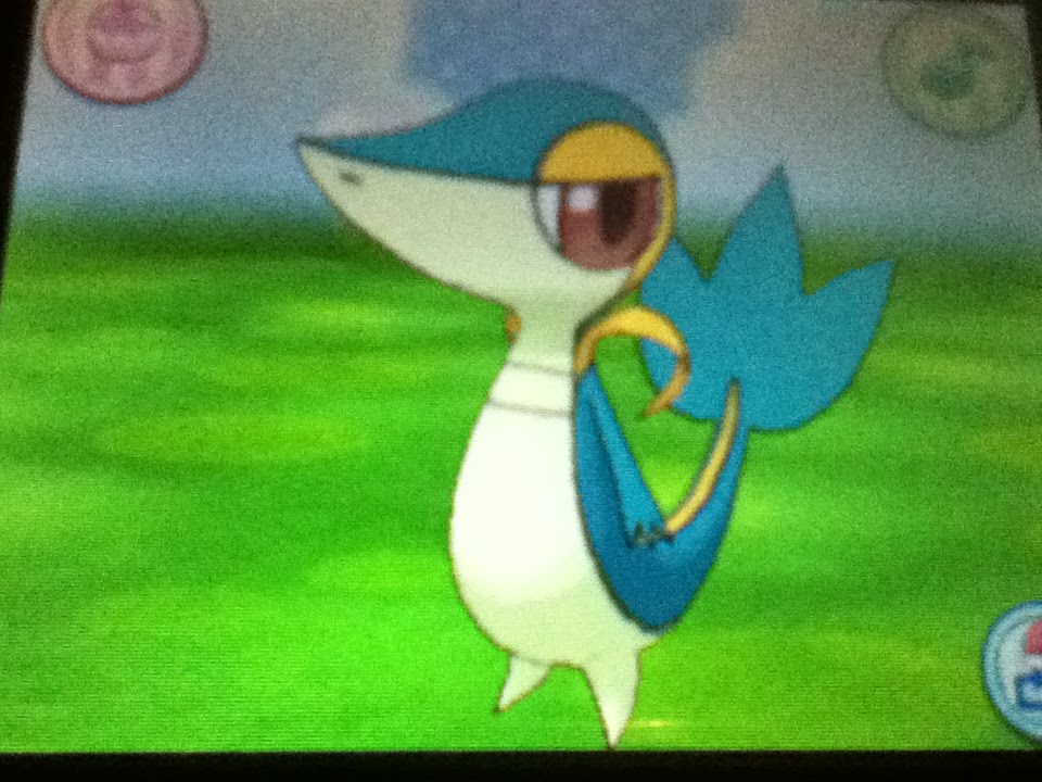 MM Shiny (Female) Contrary Snivy in 31 Eggs [Pokemon Y] - YouTube
