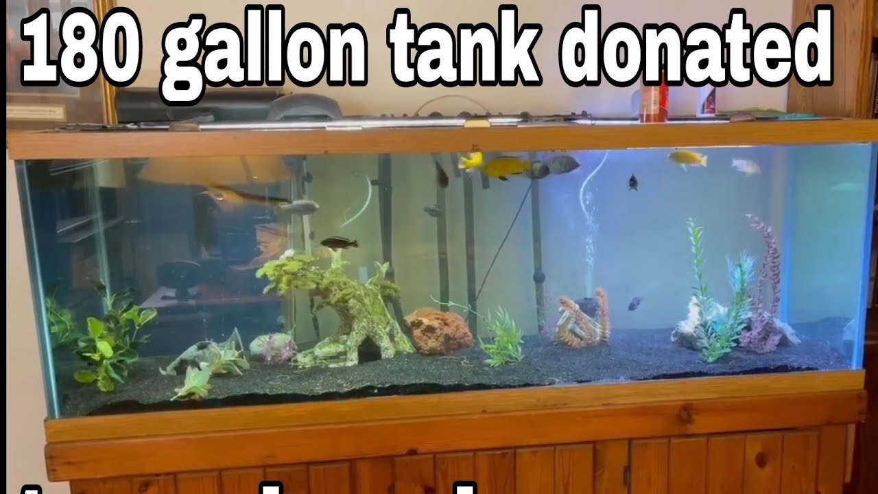 we donate a 180 gallon tank to a churchfrom ohio fish rescue - YouTube