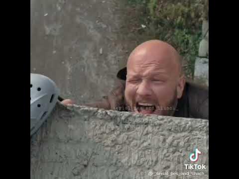 Пес 1 сезон 8 серия - YouTube