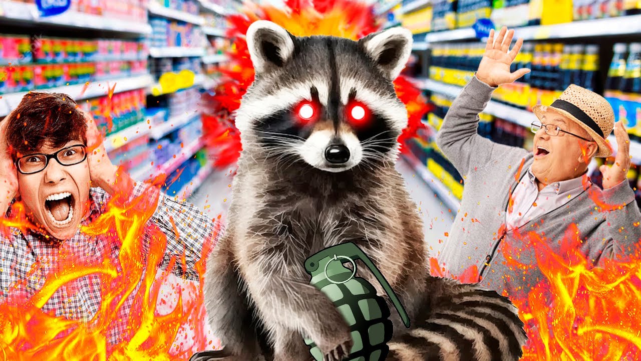 EL MAPACHE DESTRUYE UN CENTRO COMERCIAL | WANTED RACCOON - YouTube