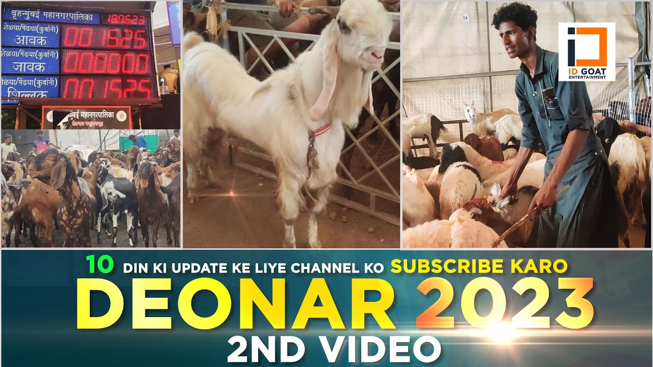 deonar 2nd Video | Deonar Latest Update | @idgoatentertainment - YouTube