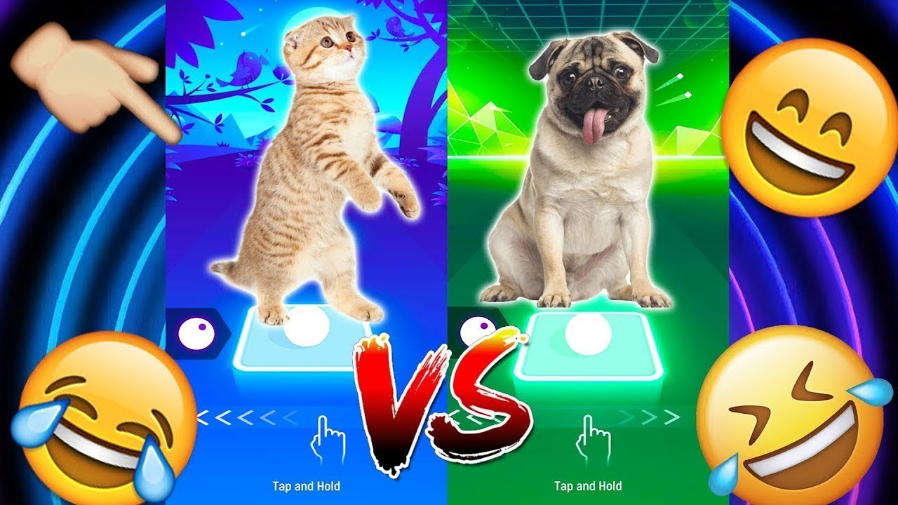 Musical Battle Dog - Pug - Cat | Tiles Hop EDM Rush - YouTube
