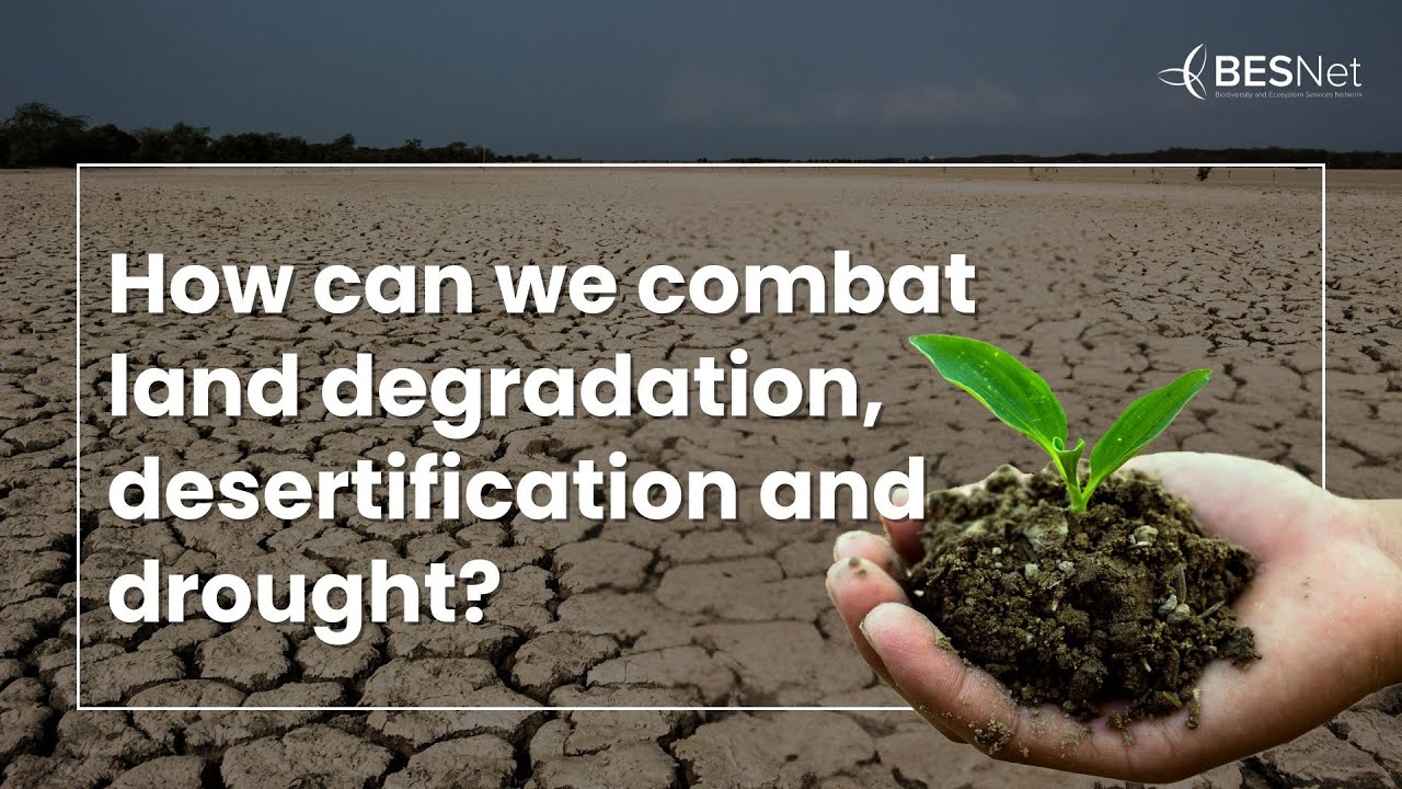 How Can We Combat Land Degradation, Desertification and Drought? - YouTube