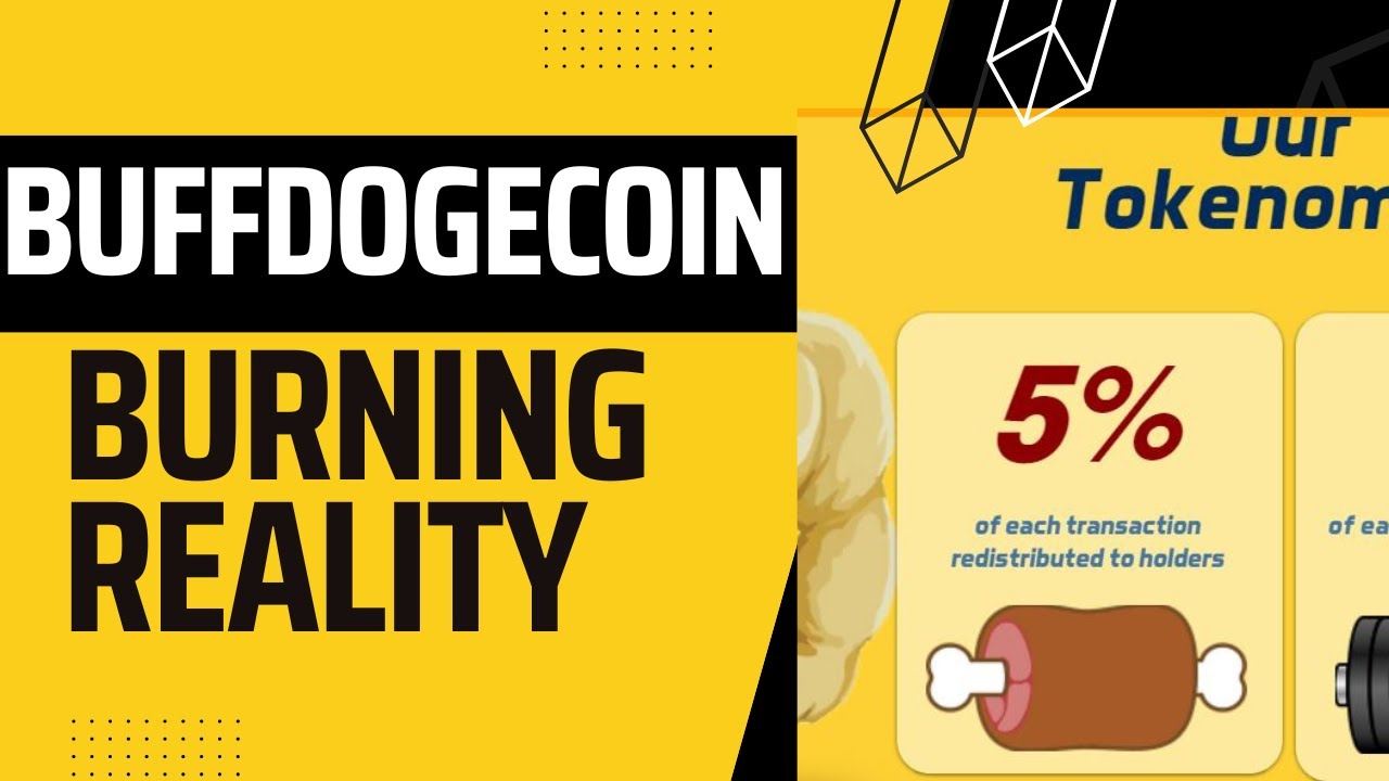 Buff Dogecoin Burning Reality | Every BuffDogeCoin Holder Want to Know ...