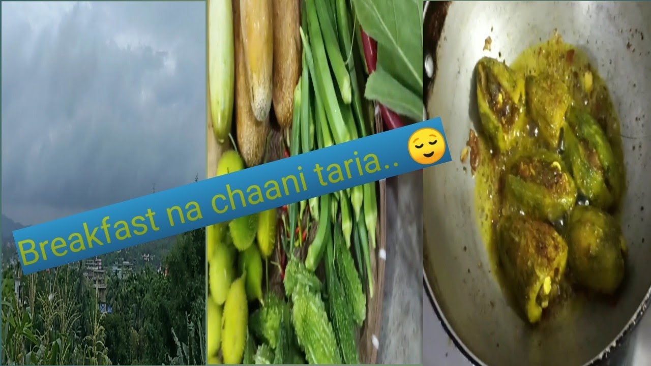 Breakfast na chaani taria|| Breakfast ke liye khana banaya|| Food for ...