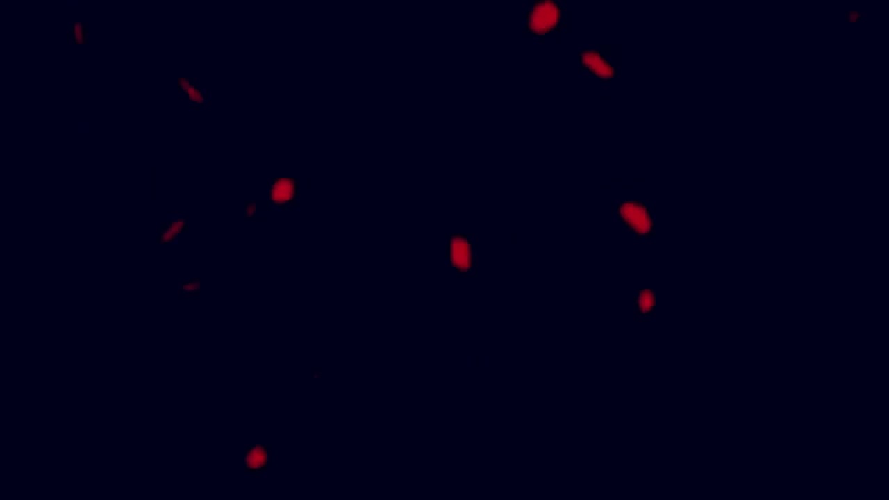 promise not to fall - human touch | s l o w e s - YouTube