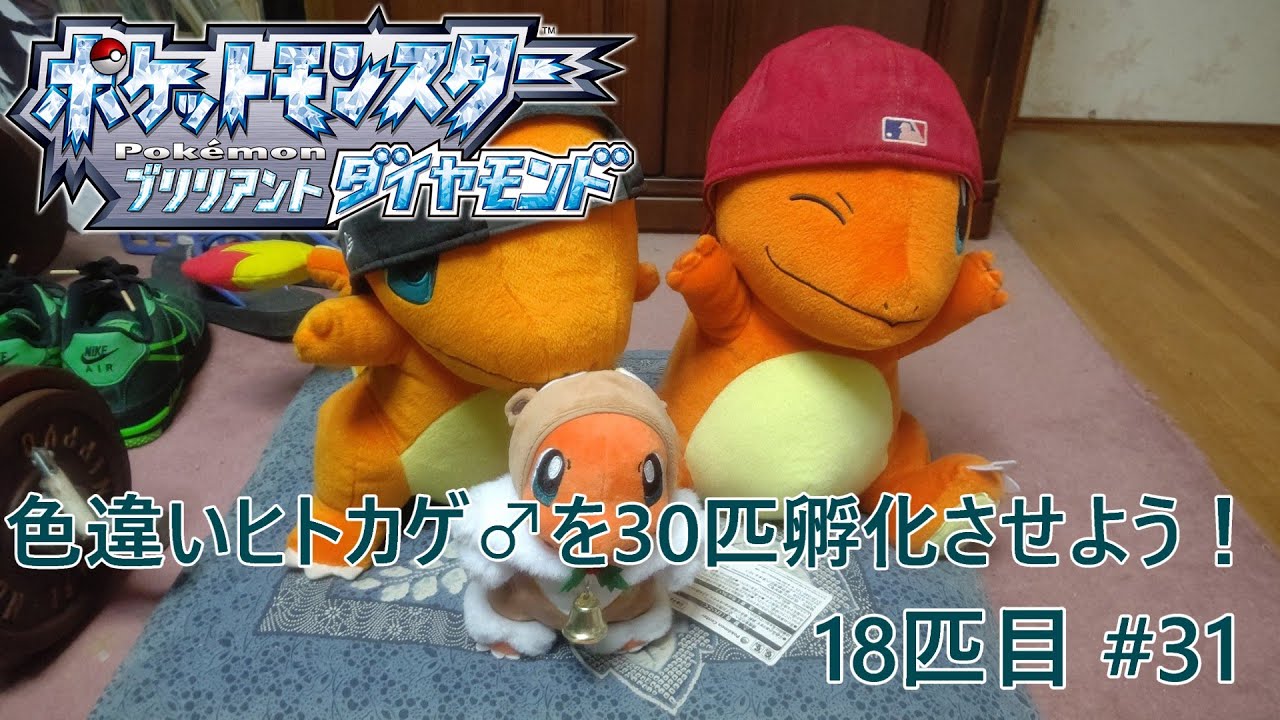 【ポケモンBDSP】色違いヒトカゲ♂を30匹孵化させよう！【色違い】 18匹目 #31 - YouTube