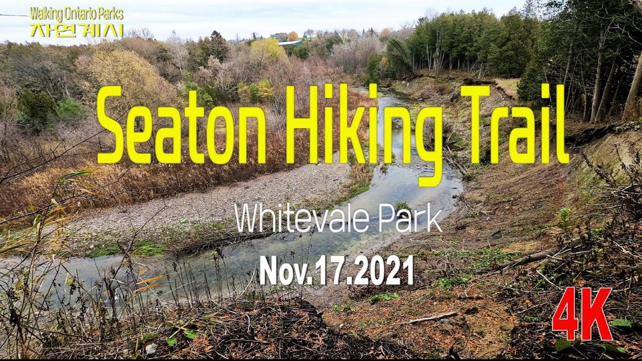 [4K] Seaton Hiking Trail, Whitevale Park, #2, [2021.11.17] - YouTube