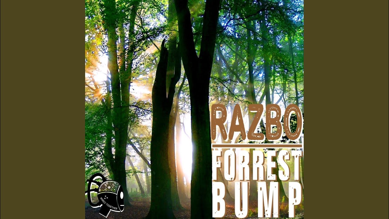 Forrest Bump (Original Mix) - YouTube