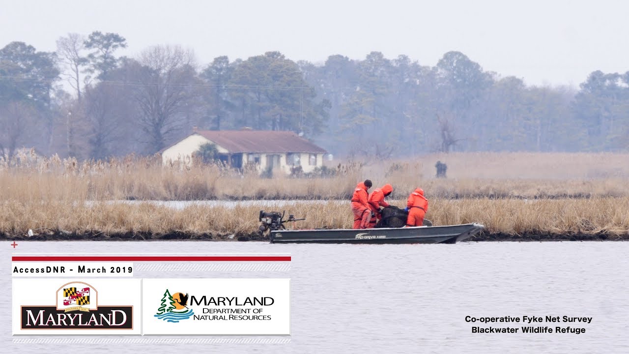 AccessDNR March 2019 - Maryland Department of Natural Resources - YouTube