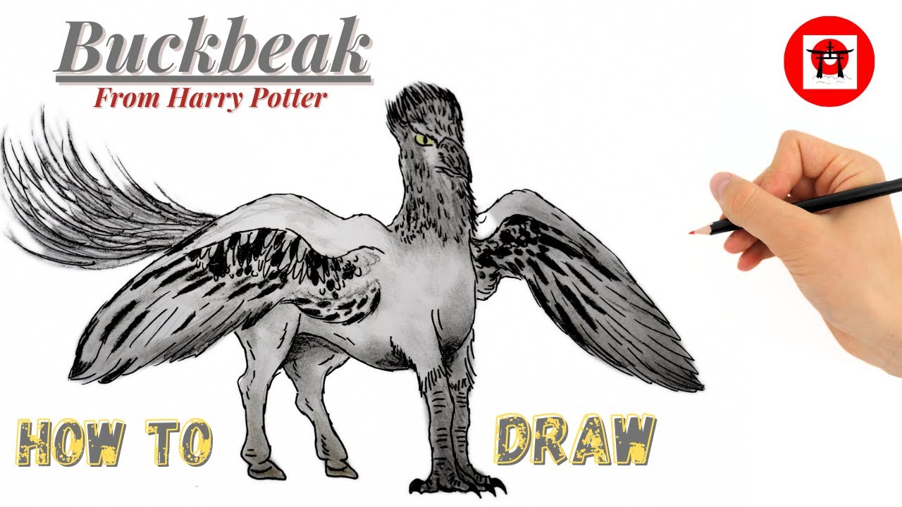 How to draw buckbeak from Harry Potter - YouTube
