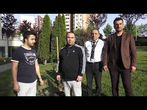 Mustafa Kemal Atatatürk'ün Nar Ağacı İstanbul'da!