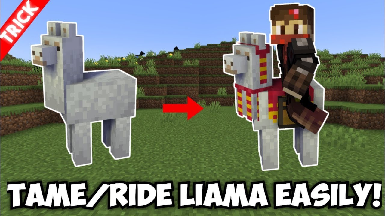 How to Tame a Llama in Minecraft 2025 Easy Guide | How to RIDE a LLAMA ...