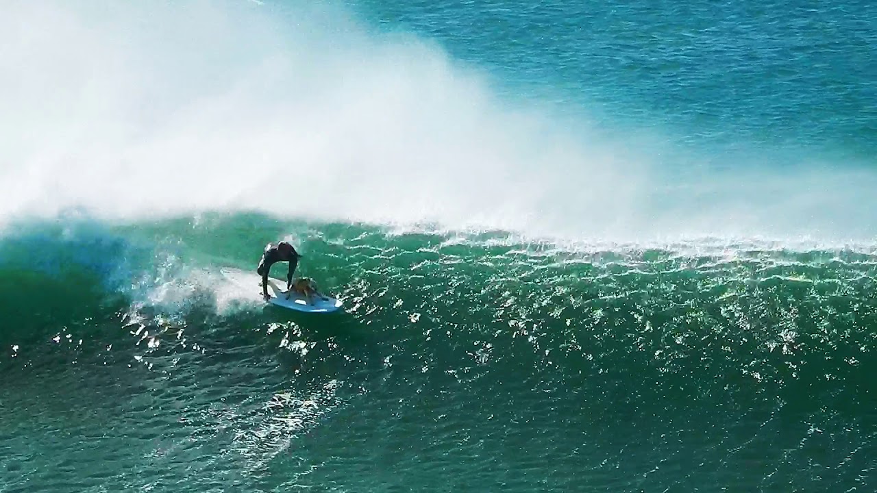 Sugar the Surfing Dog , Surfing the HB Pier durfing Offshore WInds ...