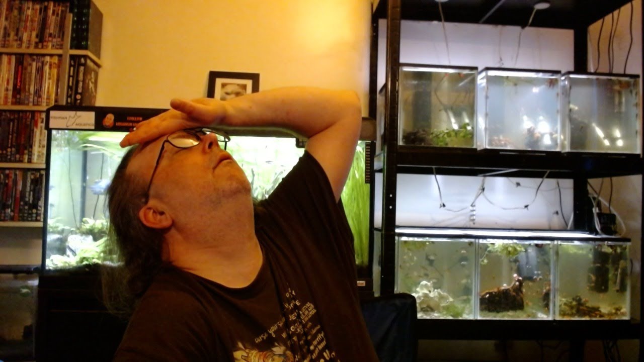 Sunday Sharpe: Manflu V2.0 - YouTube