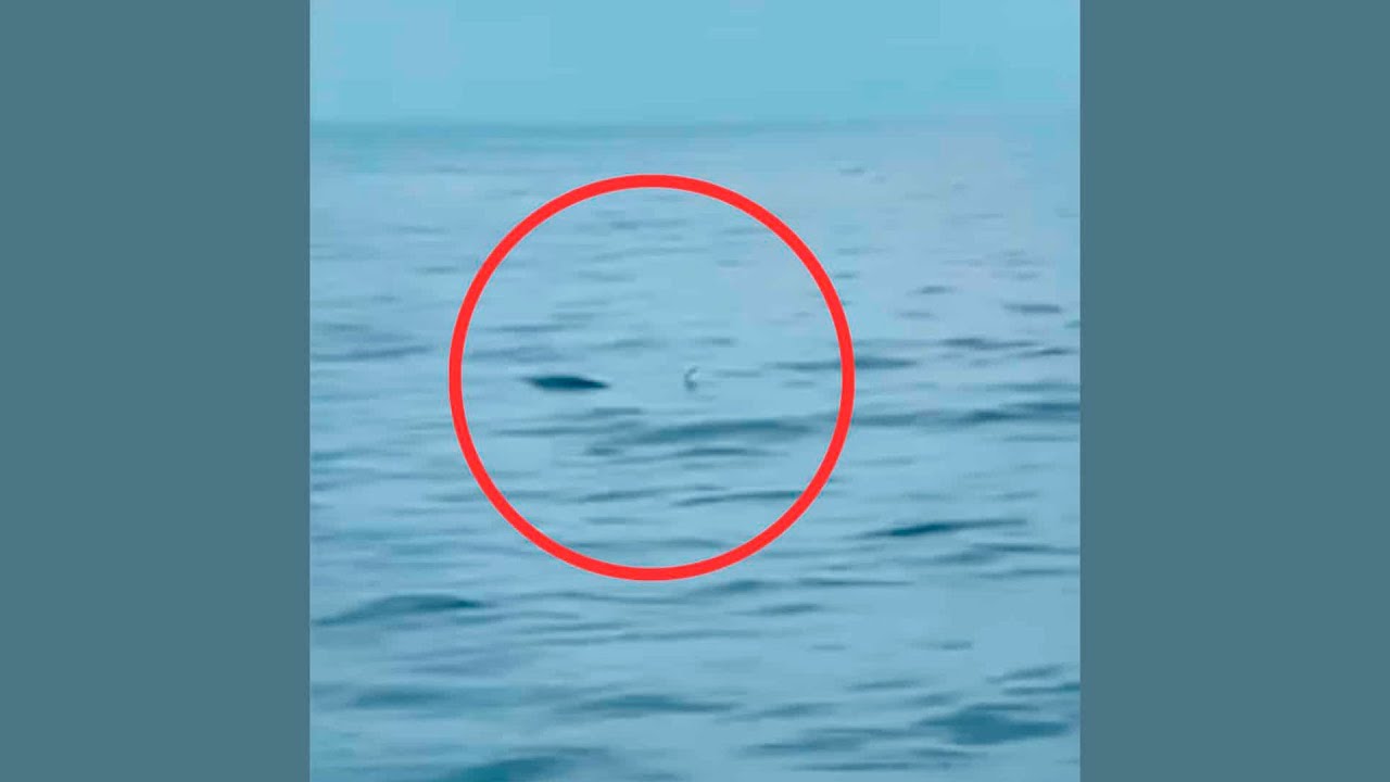 Images of the Rescue At Sea Shocked Fishermen, People Can Not ...