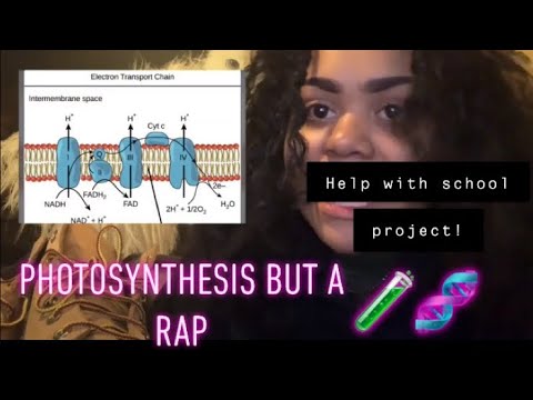 AP Bio Photosynthesis Rap - YouTube