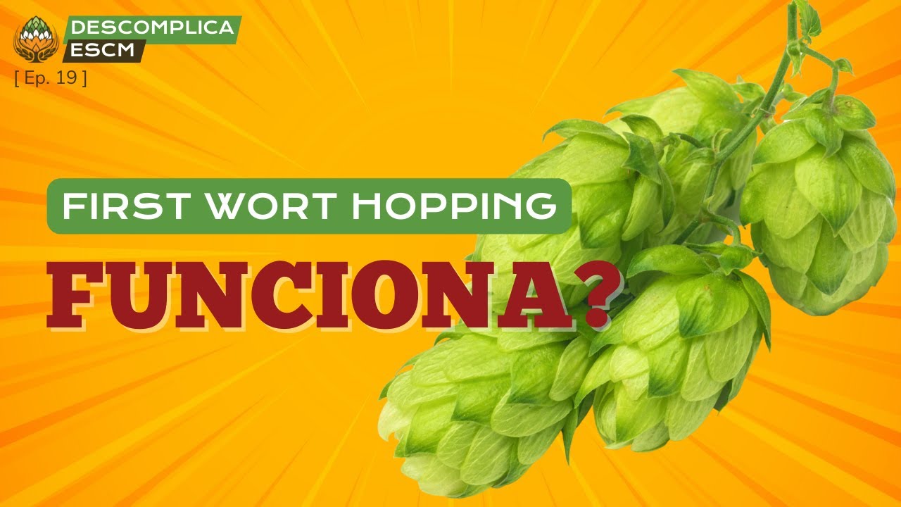 A técnica de first wort hopping funciona? | Descomplica ESCM [Ep. 19 ...