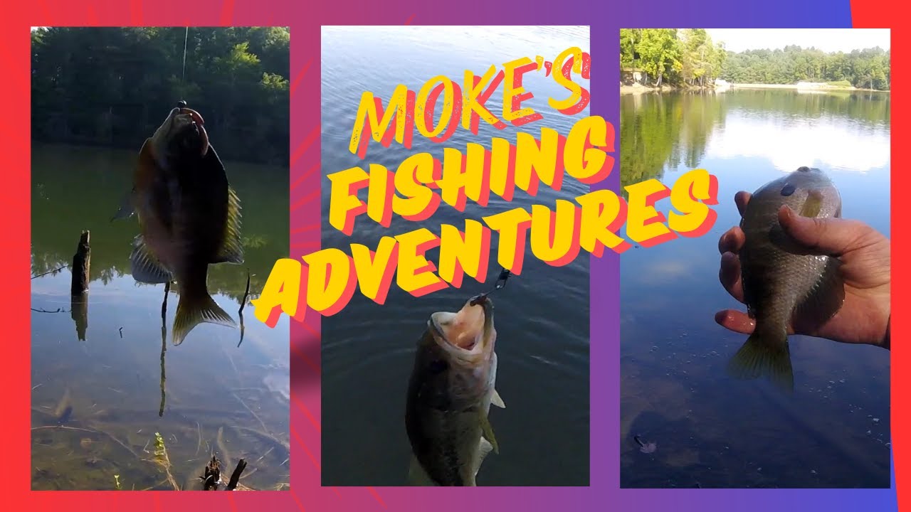 Fishing at Wise lake compilation - YouTube