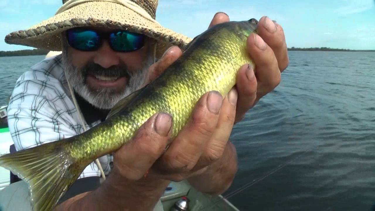 Fishing Lake Noquebay Perch, Sunfish, and HUGE ROCK BASS! - YouTube