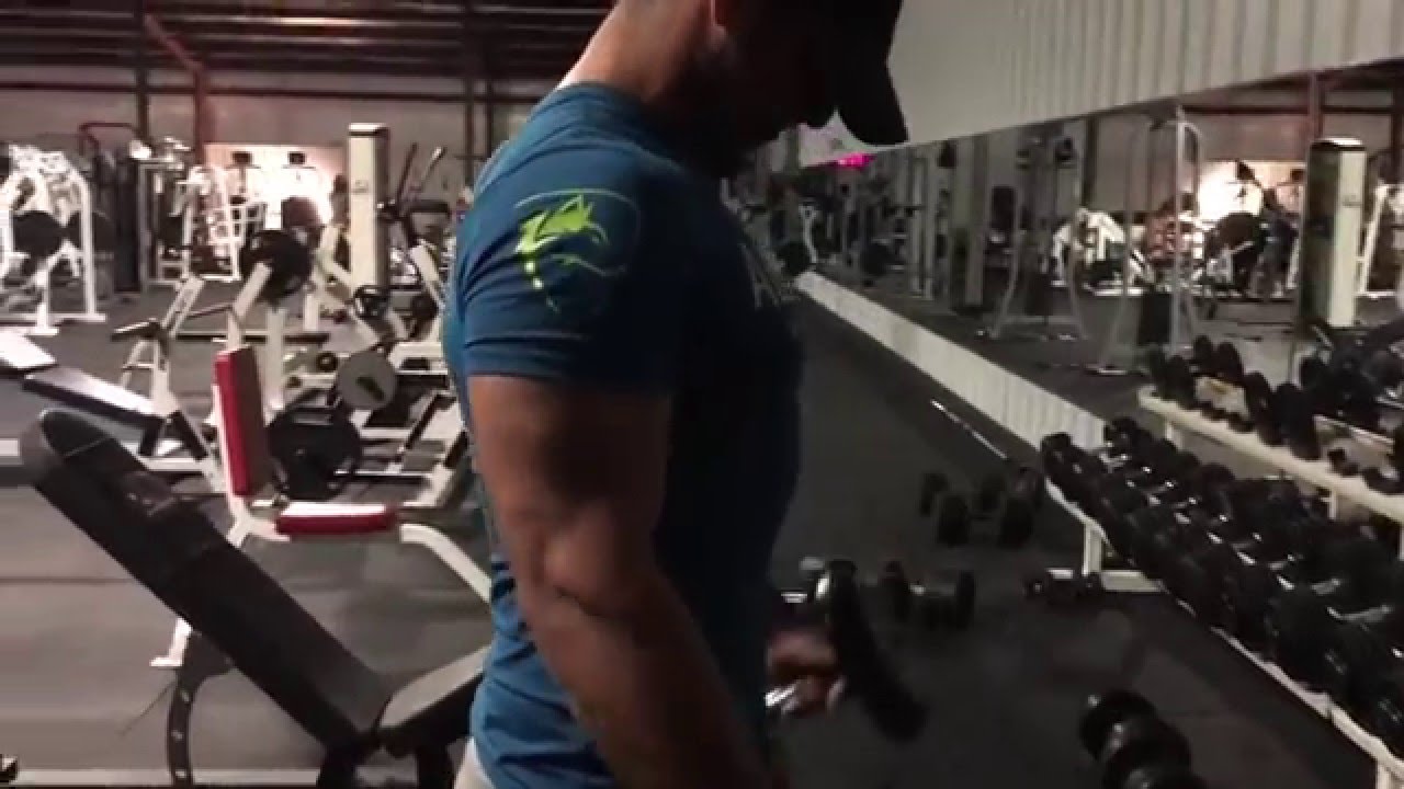 ALPHALETE GYM: Back/Bicep Workout - YouTube