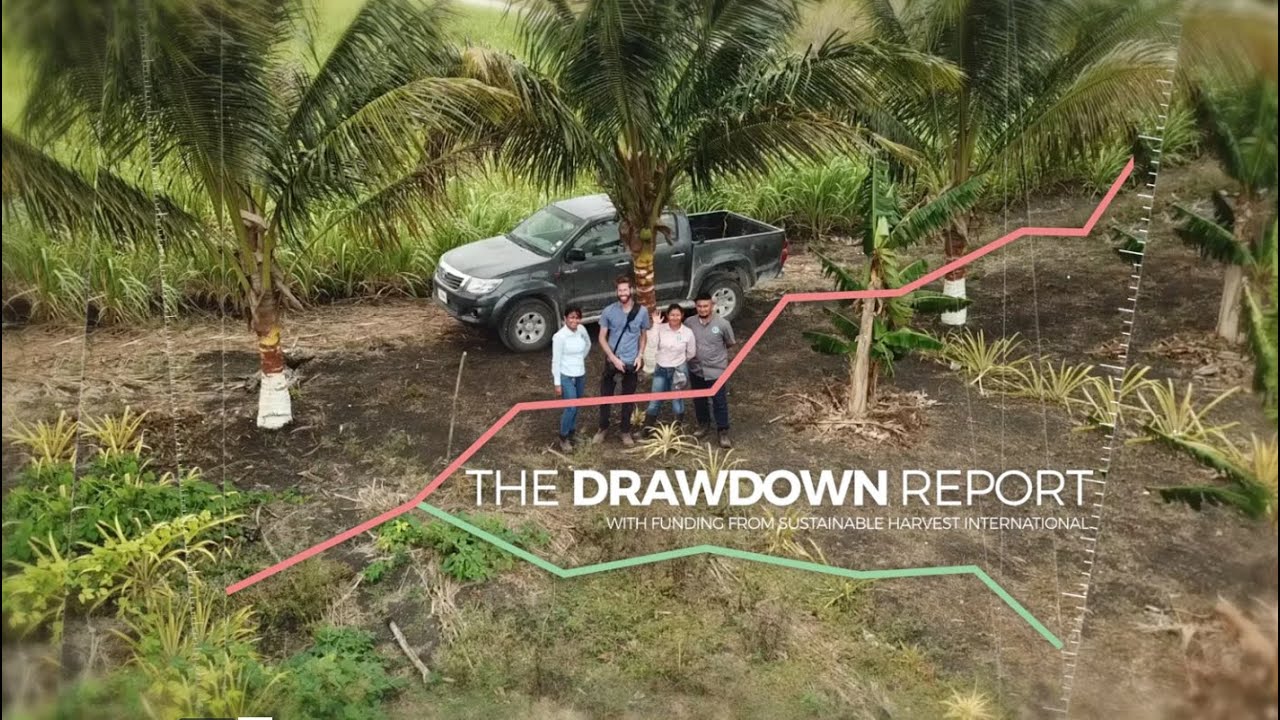 The Drawdown Report, Episode 2: Belize - YouTube