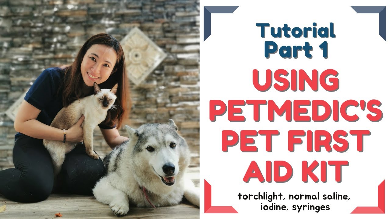 How to use PetMedic's Pet First Aid Kit Part 1 (torchlight, saline ...