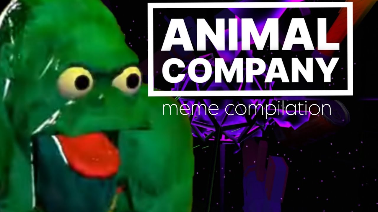 Animal company meme compilation! - YouTube