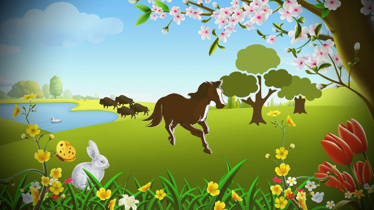 Farmed Animal vs Human Population - YouTube